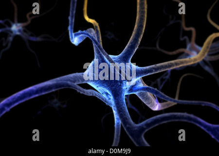 Stylized neuron cells from within the human nervous system Stock Photo ...