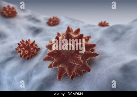 Scanning electron microscope styled structure of a typical virus Stock ...