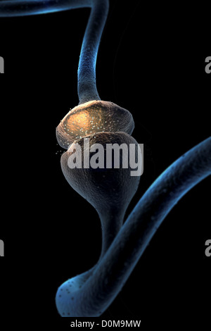 Microscopic styled visualization of a synapse Stock Photo - Alamy