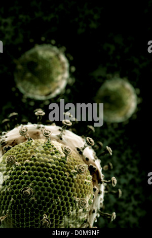 Scanning electron microscope styled HIV cells Stock Photo - Alamy