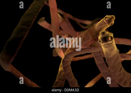 Microscopic styled visualization of tapeworms (Cestoda Stock Photo - Alamy