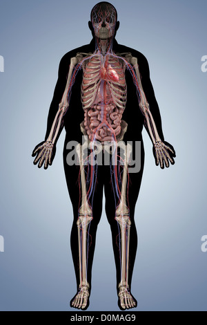 Skeleton of overweight man layered over his silhouette of body fat ...