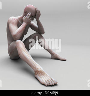 Anatomical model showing the skeletal alignment of a human bent over ...