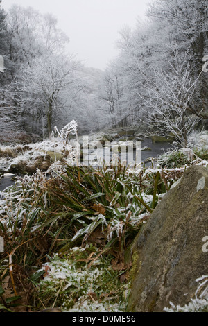 Hardcastle Crags, Hebden Bridge Stock Photo - Alamy