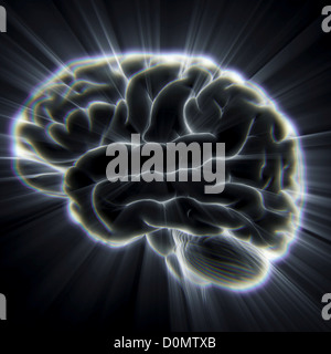 Diagram of the human brain emanating light beams Stock Photo - Alamy