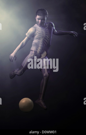 Anatomical model of a child kicking a soccer ball showing the skeletal ...