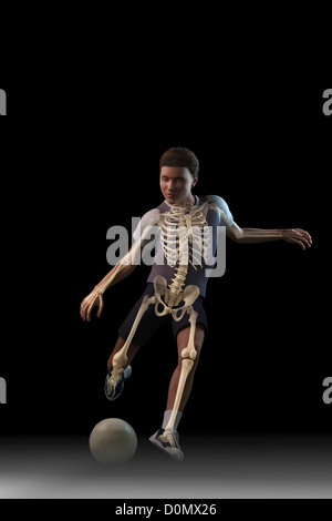 Anatomical model of a child kicking a soccer ball showing the skeletal ...