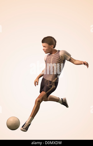 Anatomical model of a child kicking a soccer ball showing the skeletal ...