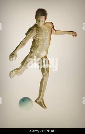 Anatomical model of a child kicking a soccer ball showing the skeletal ...