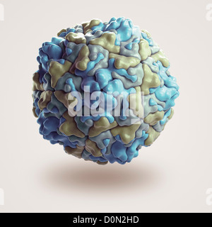 Structure ECHO (Enteric Cytopathic Human Orphan) virus (PDB 1EV1) type ...