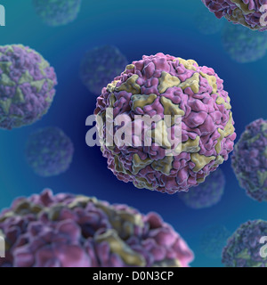 Structure Human Rhinovirus (PDB 4RHV). Rhinoviruses are most common ...