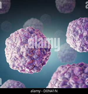 Structure Swine Vesicular Disease Virus (PDB 1OOP). SVDV is Enterovirus ...