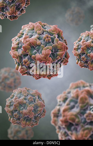 Structure Feline Panleukopenia Virus (FPV) (PDB 1C8E) also known as ...