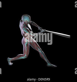 Male figure swinging a baseball bat. The internal anatomy is visible ...