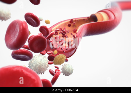 A section of a blood vessel with blood cells rushing towards the ...