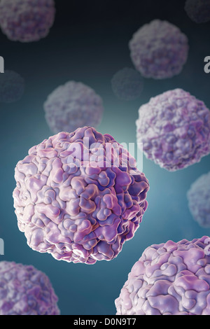 Structure Swine Vesicular Disease Virus (PDB 1OOP). SVDV is Enterovirus ...