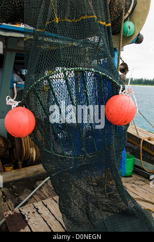 A trawl net with a turtle exclusion device in place. The device allows ...