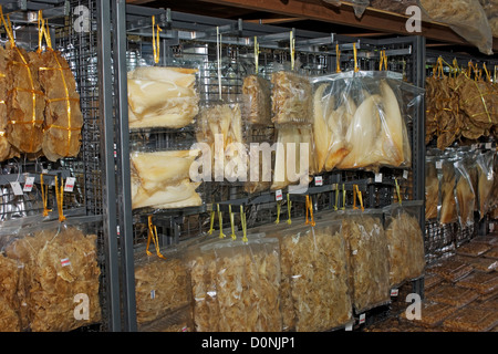 Dried shark fin in bags, in a seafood shop, Kota Kinabalu, Sabah ...