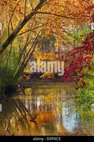 fall trees color stream Stock Photo - Alamy