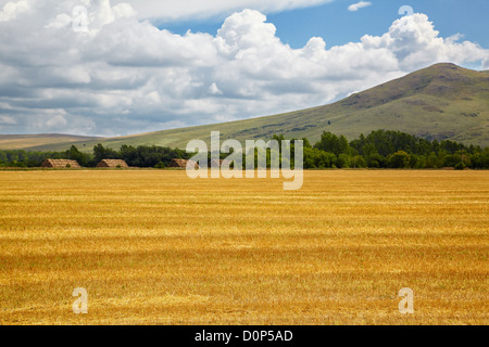 Steppe Altai landscape with agricultural land at August Stock Photo - Alamy