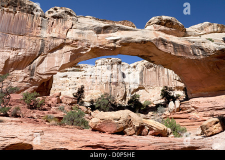 Hickman Bridge, a natural arch in Capitol Reef National Park Stock ...