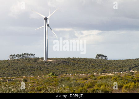 sunlit eolic blades on a hill Stock Photo - Alamy