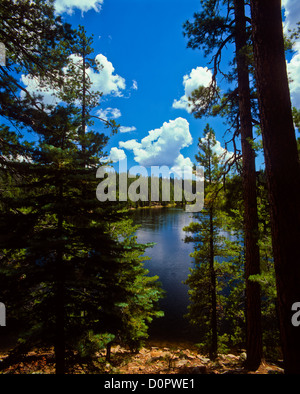 Knoll Lake on the Mogollon Rim. Apache-Sitgreaves National Forest ...