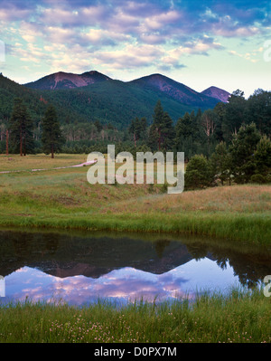 Lockett Meadow pond, summertime, North of Flagstaff, Arizona. Coconino ...