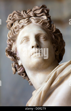 Statue of Apollo Belvedere, Rome, Italy Stock Photo - Alamy