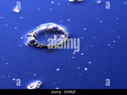 blue bladder on water surface Stock Photo - Alamy