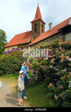 Pink Rhododendron flower in spring Stock Photo - Alamy