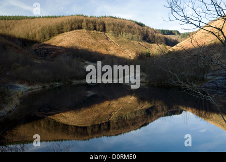lake and reflection clydach vale country park cwm clydach, tonypandy ...