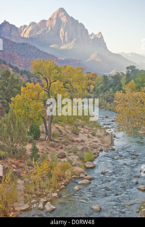 The Virgin River in autumn in Zion National Park in Utah Stock Photo ...