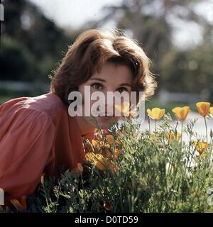 ANGELA DORIAN 1975.k27358.Supplied by Photos, inc.(Credit Image ...