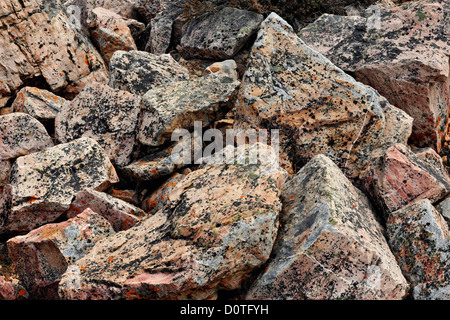 Jumbled rockpile from slide or avalanche, Jasper National Park, Alberta ...