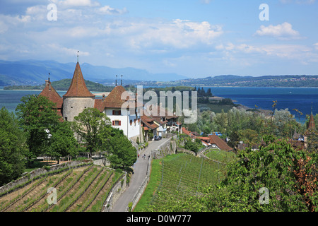 Castle and village Erlach, Switzerland Stock Photo - Alamy