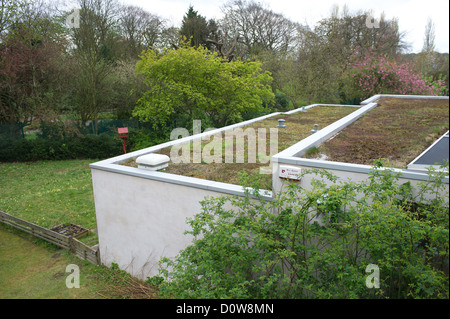 National Wildflower Centre, Court Hey Park, Near Liverpool, England UK ...