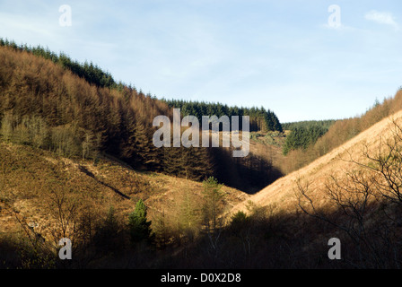 clydach vale country park cwm clydach rhondda valley south wales uk ...