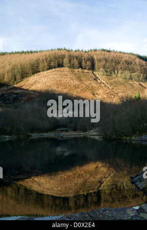 lake and reflection clydach vale country park cwm clydach, tonypandy ...