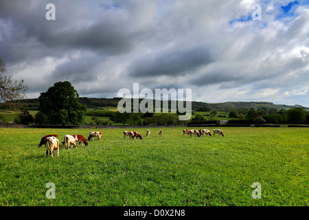 Summer view of Longstone Edge, Little Longstone village, Peak District ...