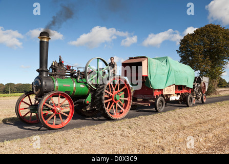 A vintage steam engine and threshing drum threshing straw assisted by ...