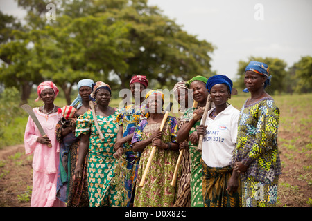 farming in Chad Stock Photo - Alamy