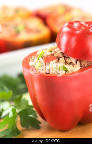 Red bell pepper filled with minced meat, rice, parmesan cheese. Tasty ...