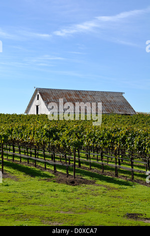Napa Valley Barn Stock Photo - Alamy