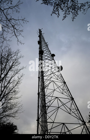 Silhouette of the Antenna of cellular cell phone and communication ...