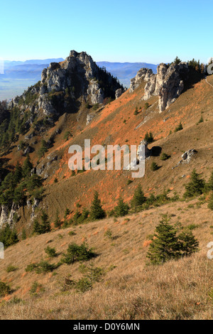 The limestone cliffs at the summit of Ostra, NP Velka Fatra, Slovakia ...
