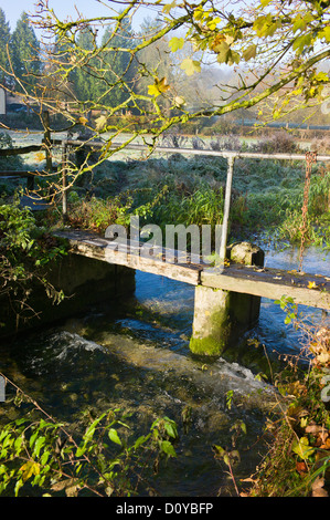 Footbridge across the Bourne Rivulet on a misty autumn morning, St Mary ...