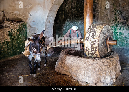 Millstone & donkey used for pressing olives to make olive oil in ...