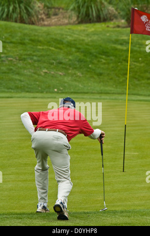 Golfer lining up putt in putting green, with ball, hole, putter, grid ...