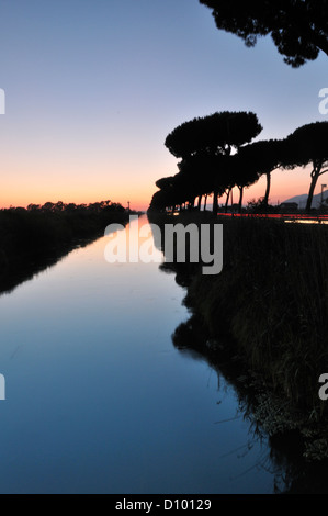 Pontinia, Latina, Agro Pontino, Lazio, Italy, Europe Stock Photo - Alamy